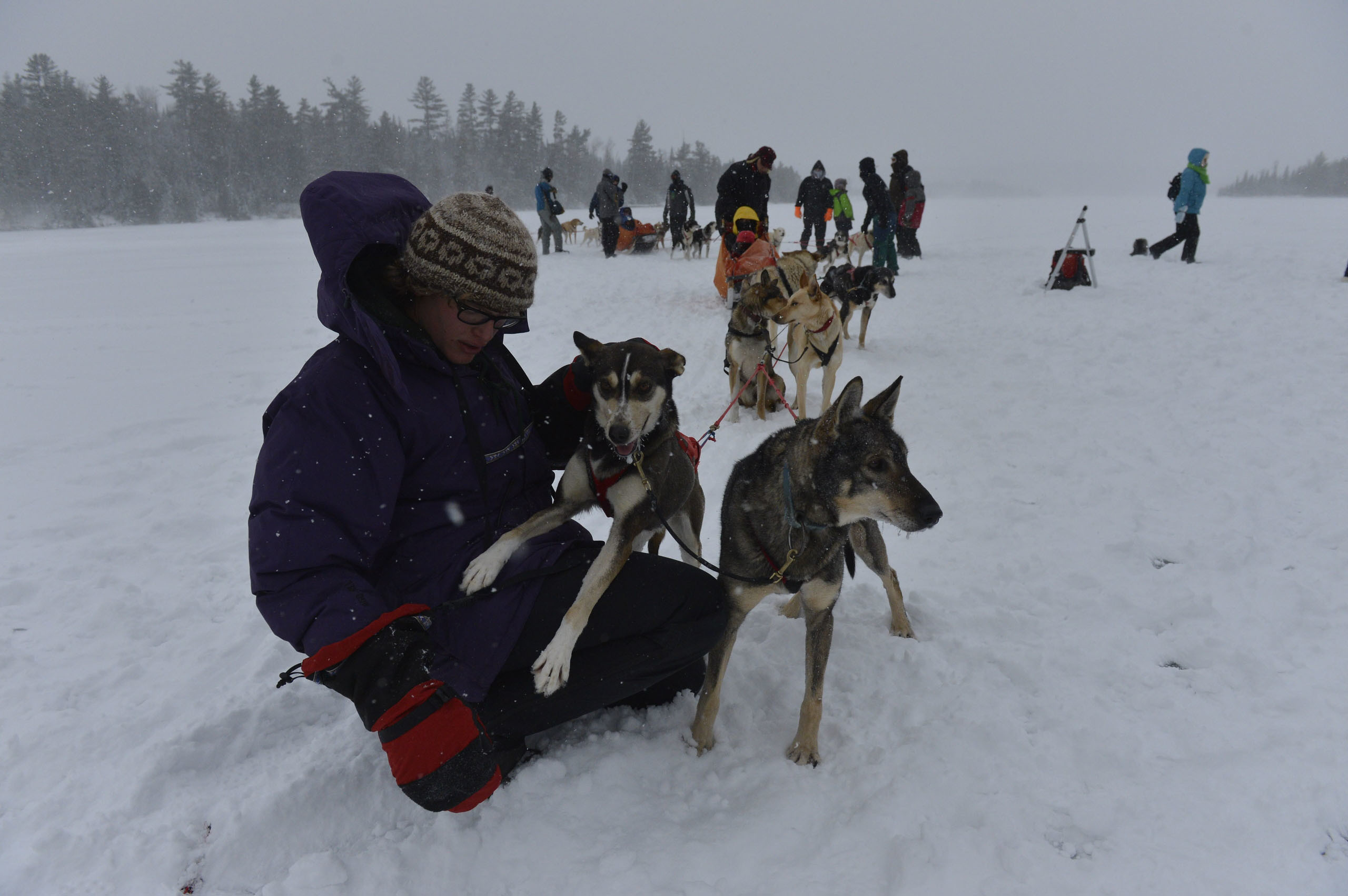 Home - Scouting America Licensing Programs